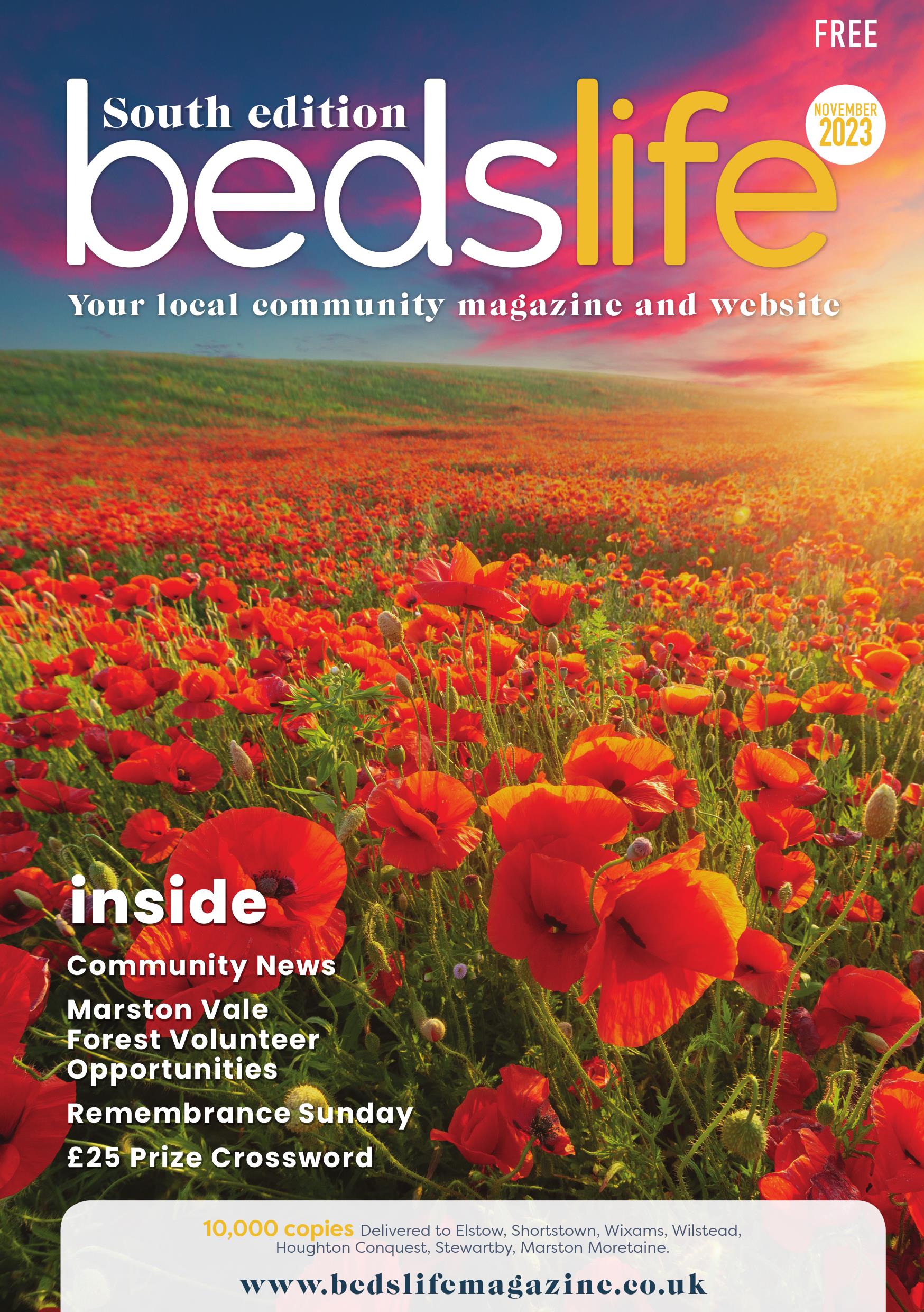 Bedslife south November 2023