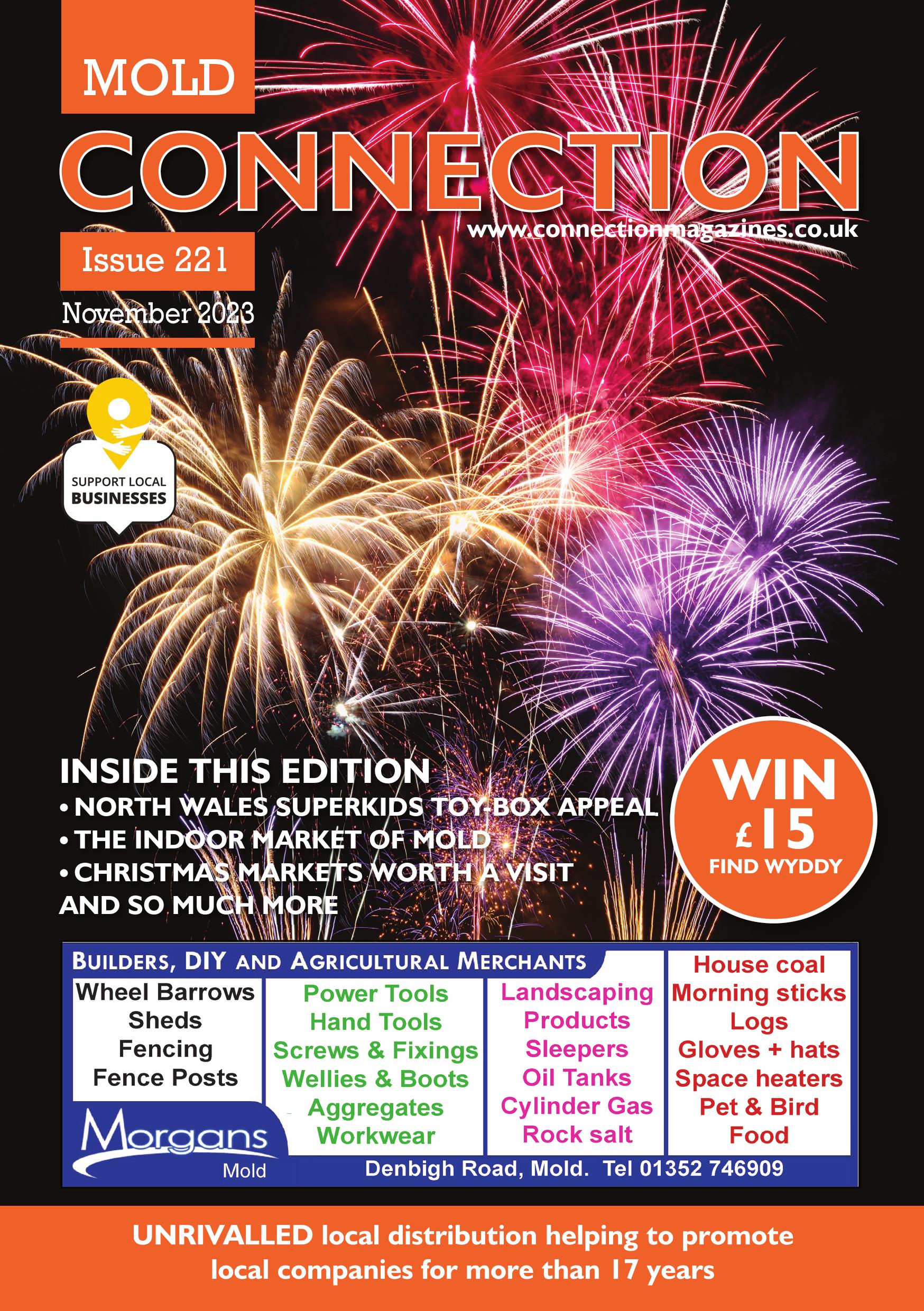 Mold Connection November 2023