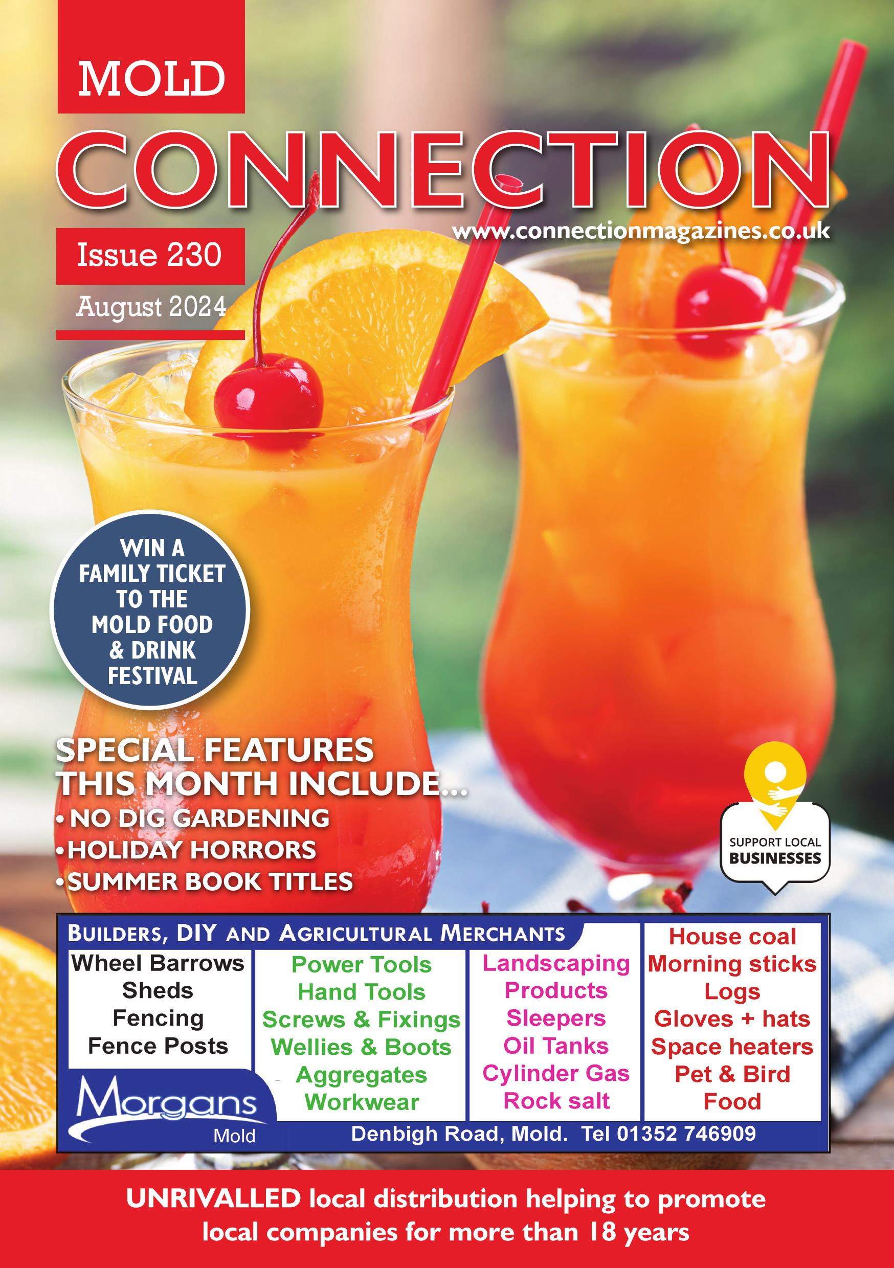 Mold Connection August 2024