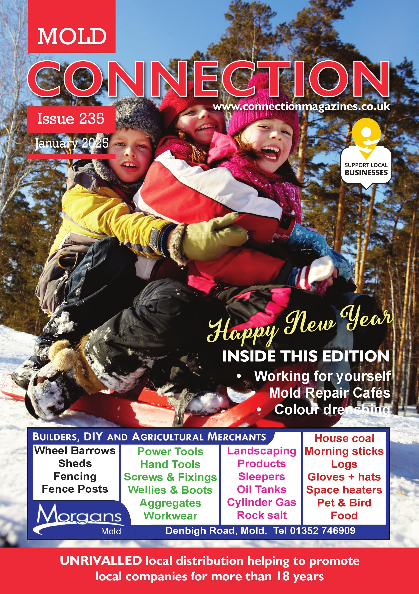 Mold Connection January 2025