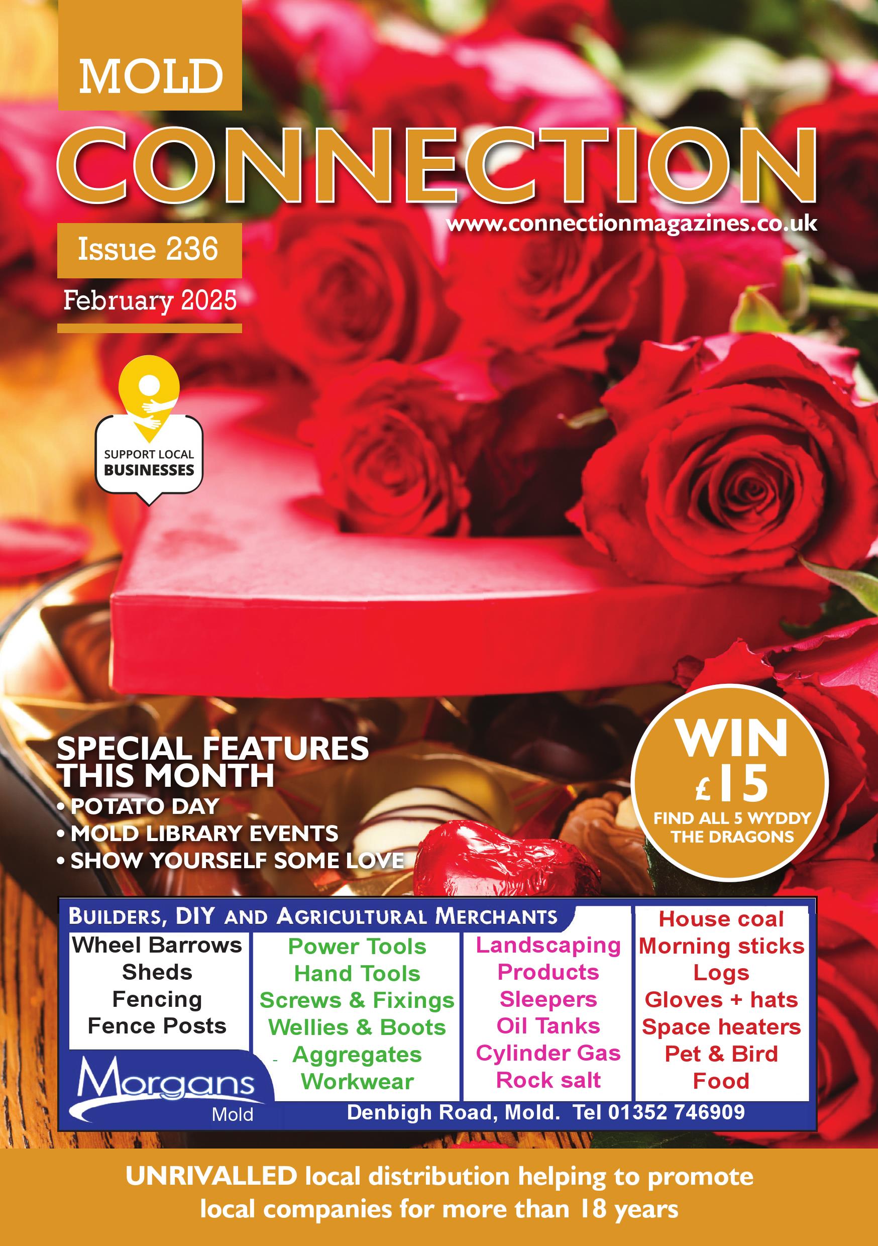 Mold Connection February 2025