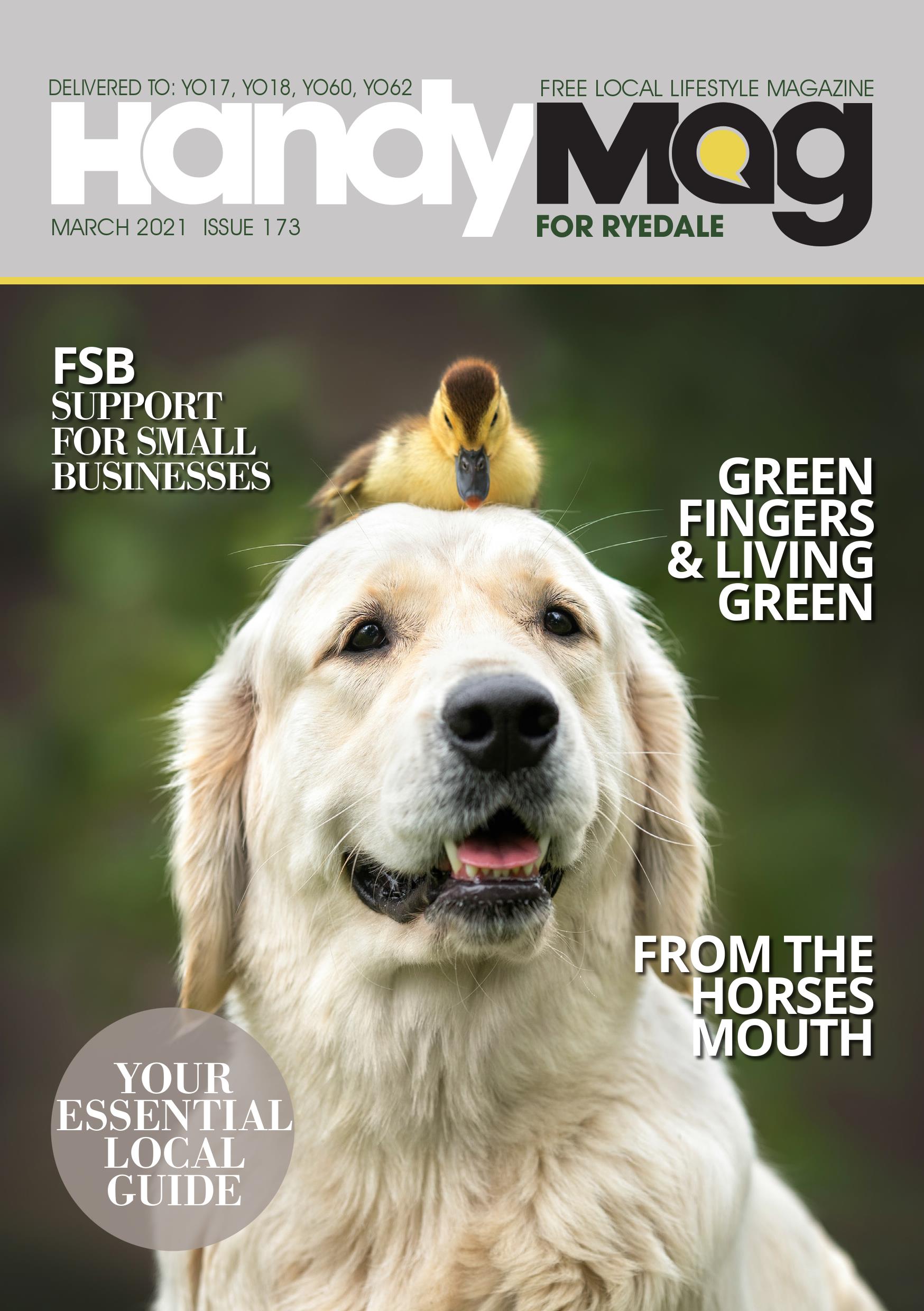 Handy Mag Ryedale March 2021